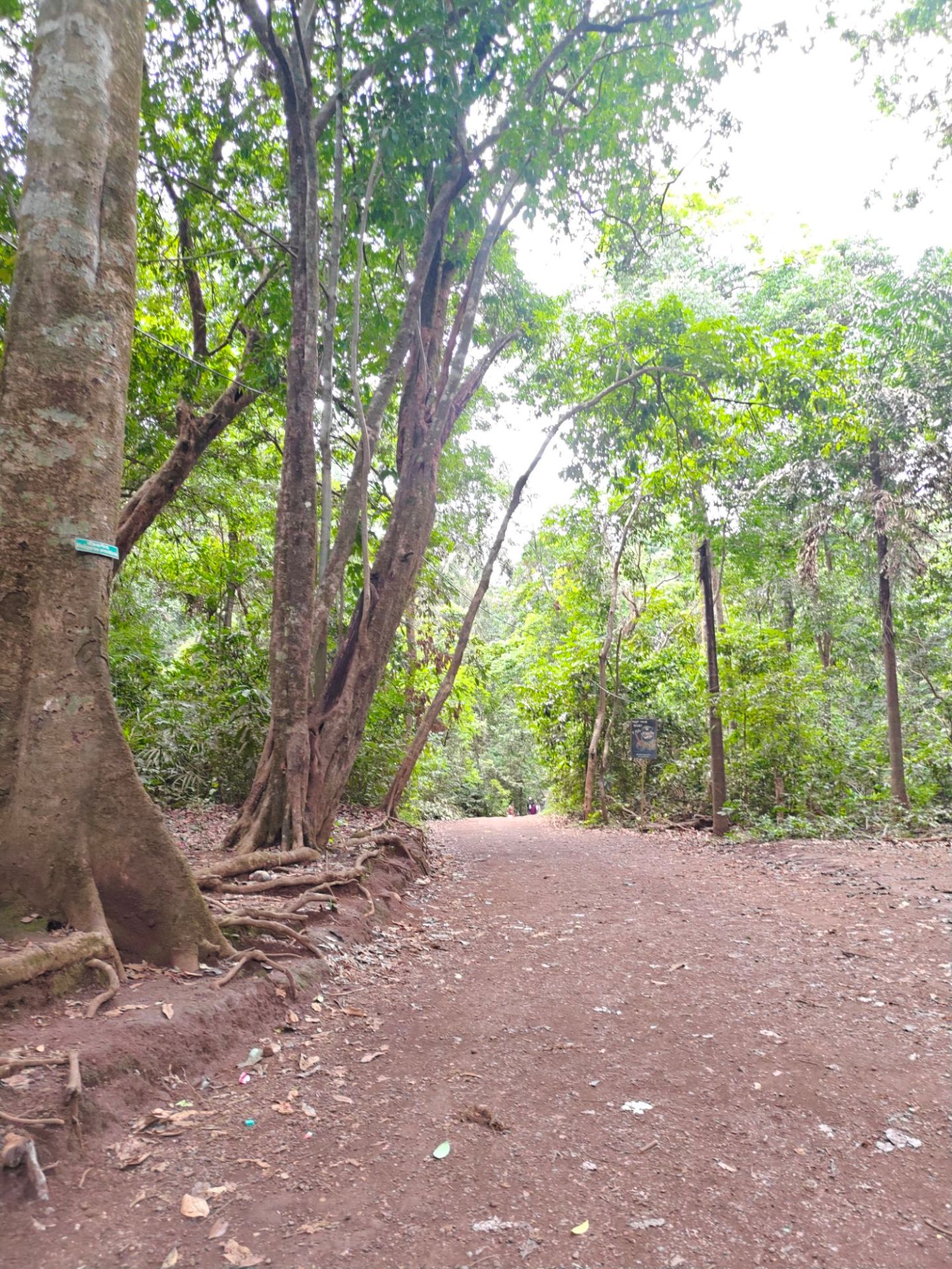 Yana Caves – A Geological Wonder – Madhuri Katti’s Photo Essays